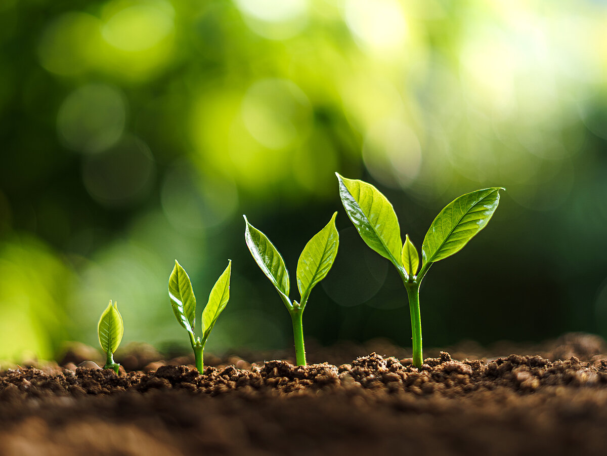 AVC Receives ISO 14001 Certification for Environmental Management ...